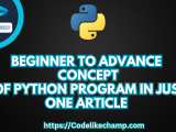 Programs Created With Python Original And Custom Python Programs