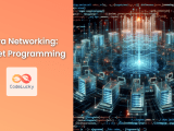 Socket Programming Complete Guide To Network Inter Process