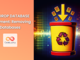 Sql Drop Database Statement Removing Databases Codelucky