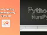 Numpy Sorting Organizing Array Elements Codelucky