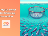 Python Mysql Connecting Python With Databases Codelucky
