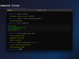 Ruby Command Linux Complete Guide To Running Ruby Scripts And Programs