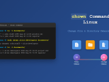 Chmod Command In Linux Complete File Permissions Tutorial With