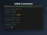Kill Command In Linux Complete Guide To Terminate Processes By Pid