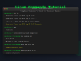 Screen Command Linux Complete Guide To Managing Multiple Terminal