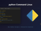 Python Command Linux Complete Guide To Running Python Scripts And