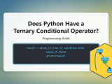 Does Python Have A Ternary Conditional Operator Programming Guide