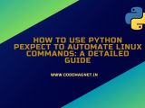 How To Use Python Pexpect To Automate Linux Commands A Detailed Guide