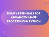 Numpy Essentials For Advanced Image Processing In Python Codemagnet