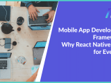 Mobile App Development Frameworks Why React Native Is Not Best For