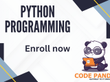 What Is The Best Coaching Institute For Python Codepanda Academy