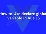 How To Use Declare Global Variable In Vue Js Global Variable In Vue Js