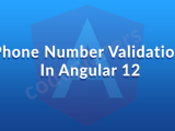 Phone Number Validation In Angular 12 Number Validation In Angular 12