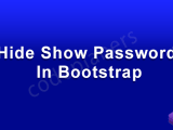 Hide Show Password In Bootstrap Hide Show Password