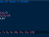 Python Tuple Concatenation Methods And Best Practices Codepointtech