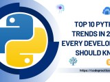 Python Vs Java Which Is Better For Beginners In 2025
