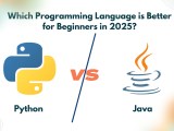 Python Vs Java Which Is Better For Beginners In 2025
