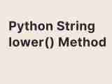Python String Lower Method Coder Advise