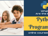 Online Python Programming Courses For Kids Codercookies