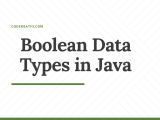 Boolean Data Type In Java Codersathi