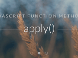 Javascript Function Methods Apply Coder S Block