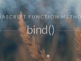 Javascript Function Methods Bind Coder S Block