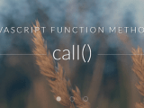 Javascript Function Methods Call Coder S Block