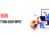 Python Getting User Input