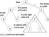 Tree Data Structure Binary Search Tree Codersite