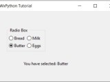 Wxpython Radiobox Widget Coderslegacy