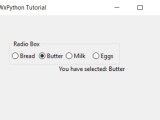 Wxpython Radiobox Widget Coderslegacy