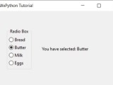 Wxpython Radiobox Widget Coderslegacy