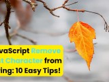 Javascript Remove Last Character From String 6 Easy Tips