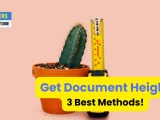 Javascript Get Document Height 3 Best Methods