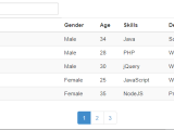 Angular Smart Table With Pagination Search And Sorting Coderszine
