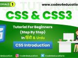 Css Introduction Css Course For Beginners To Advanced 2021