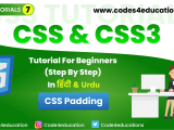 Css Padding Css Course For Beginners To Advanced 2021
