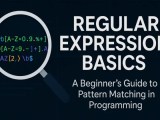 Regular Expression Basics For Beginners Codesamplez