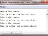 Java Break Statement