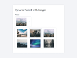 Dynamic Select With Images Using Html And Javascript