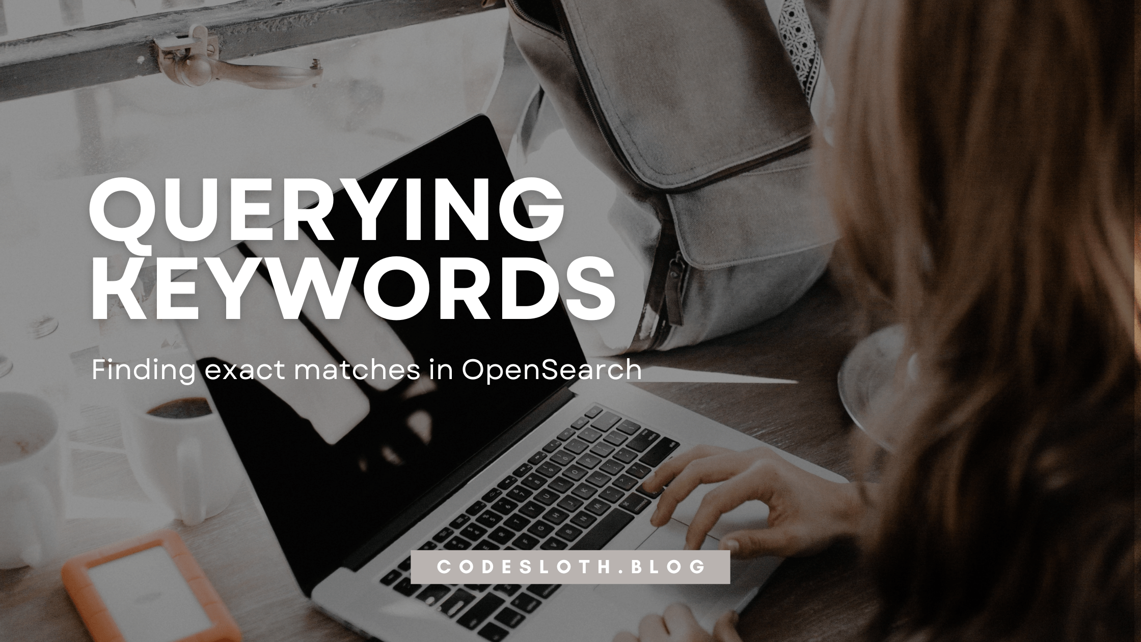 [Tutorial] Querying the Keyword Field Data Type - CodeSloth