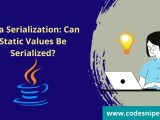 Java Serialization Can Static Values Be Serialized Codesnipeet