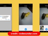 Capture Image Using Flutter Camera With Example Codesundar