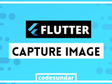 Capture Image Using Flutter Camera With Example Codesundar