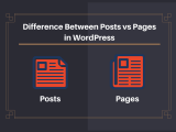 Wordpress Guide What Is The Difference Between Posts And Pages In