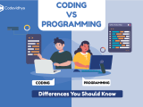 Coding Vs Programming Differences You Should Know Codevidhya