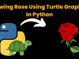 Draw A Rose In Python At Doris Halligan Blog