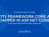 Using Entity Framework Core And Dapper In Asp Net Core Safe