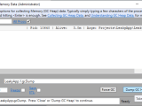 Memory Leak C Code With Shadman