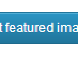 Post Thumbnails Wordpress Codex